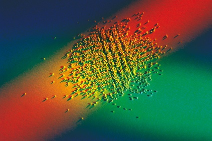 Alternativen Katalysatorenlösungen für die Zeit nach dem Erdöl gesucht ...