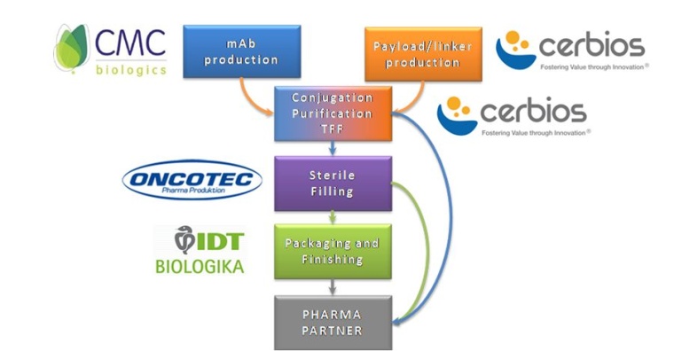 Cerbios joins CMC Biologics and IDT Biologika in ADC Collaboration ...