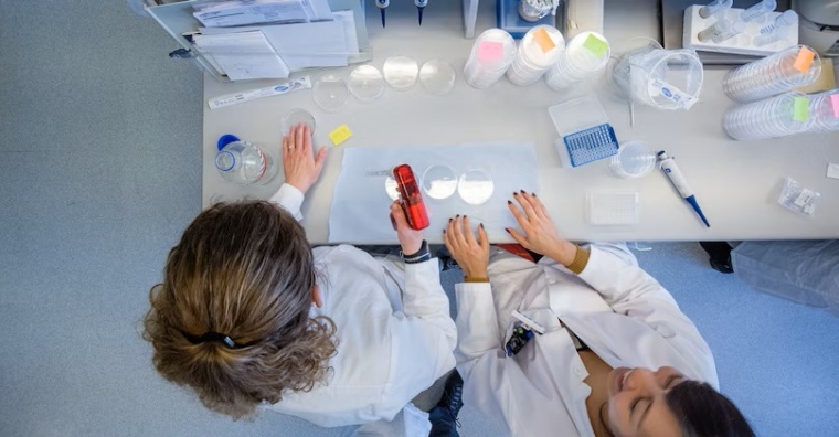 Novozymes and Chr. Hansen to Merge • CHEManager is the market-leading ...