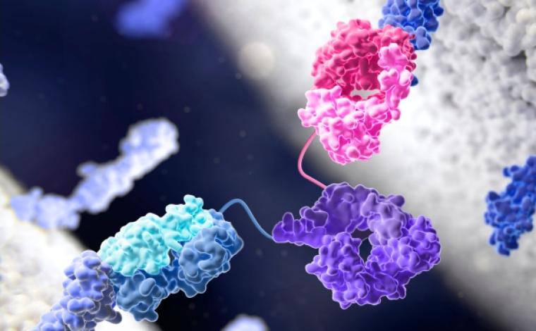 Arkema and Catalyxx Launch Partnership for Low-Carbon, Bio-Based ...